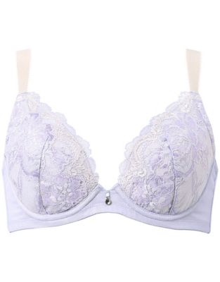 小さく見せるブラ メッシュ フルカップブラ（BRB329） | Wacoal