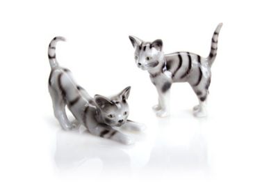 AXEL JAPAN / アクセルジャパン の通販 | 三越伊勢丹オンラインストア 【公式】